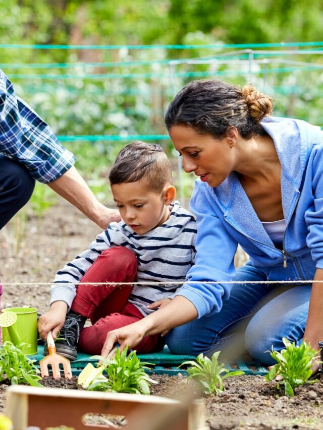 Home gardening for beginners: Step by Step Easy Guide! - Organicbazar Blog