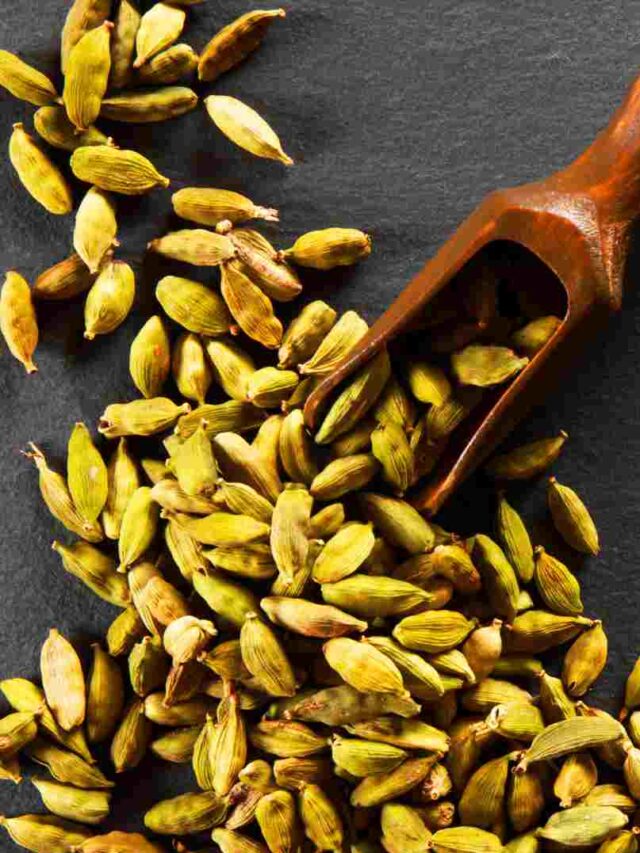 Know how to grow cardamom from seeds in India! - Organicbazar Blog