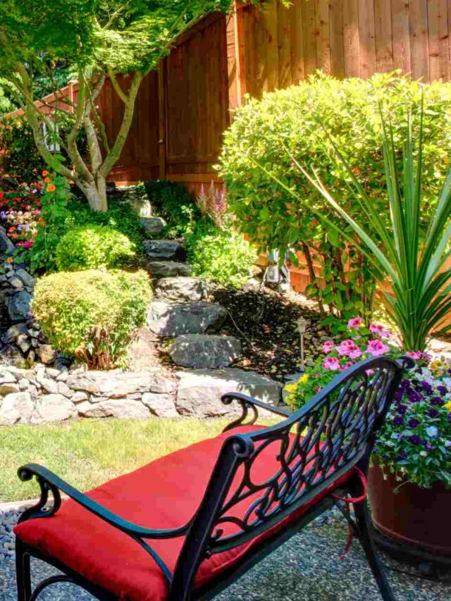 Transform Your Small Garden: Tips to Make It Look Bigger ...