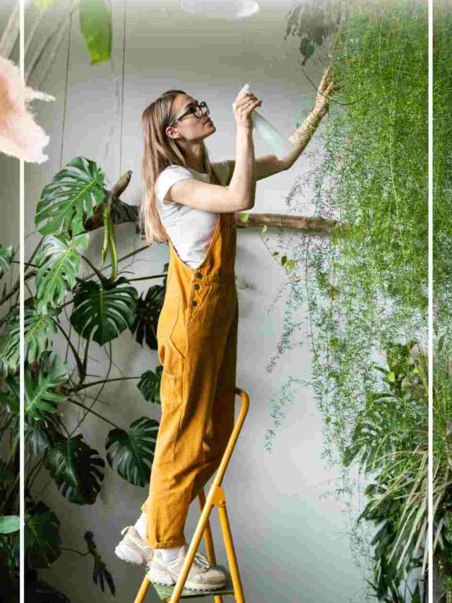 5 Amazing Baking Soda Uses in the Garden! - Organicbazar Blog