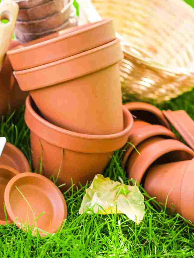 Transform Your Vertical Garden with Stunning Pots! - Organicbazar Blog